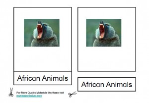 » Montessori African Animals Materials