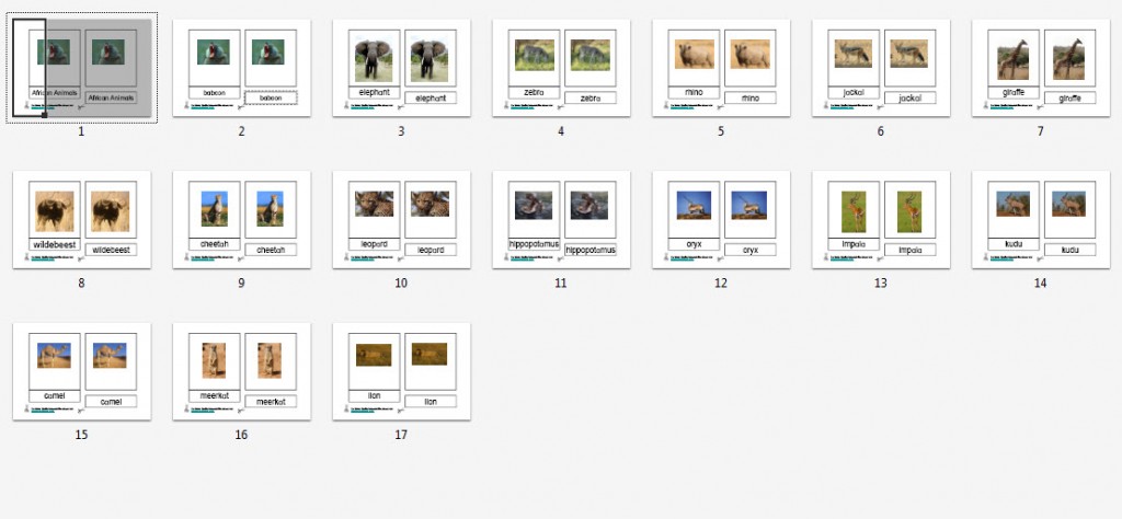 » Montessori African Animals Printables