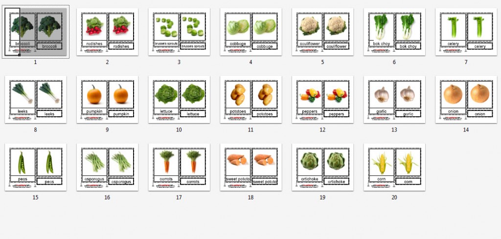 » Montessori Types of Vegetables Printables