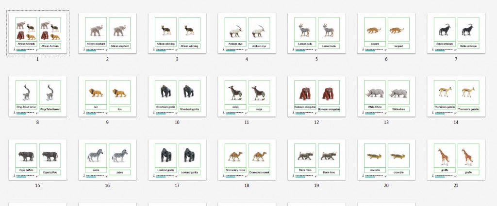 » MontessoriAfricanAnimals