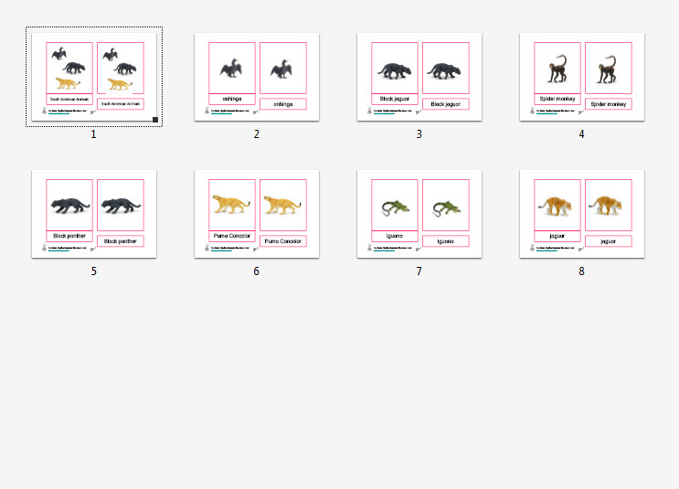 » MontessoriSouthAmericanAnimals